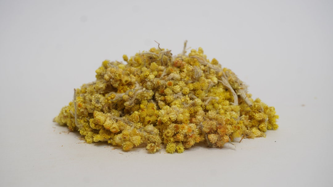 Life Everlasting Flowers Life Everlasting Tea helichrysum Stoechas - Etsy