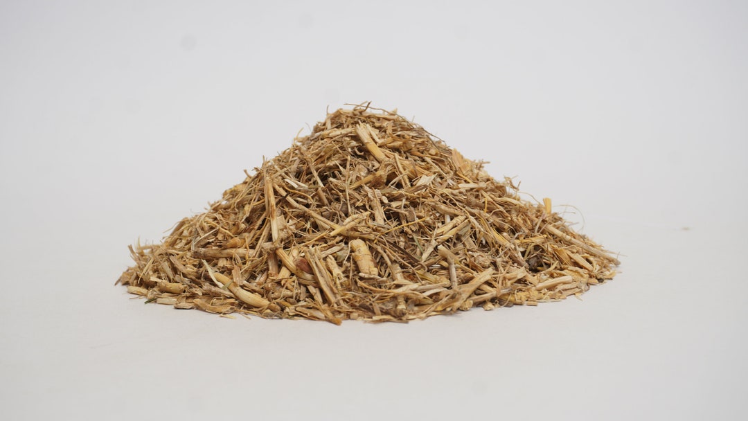 Natural Organic BERMUDA GRASS Root | Cynodon Dactylon Radix | Organic ...