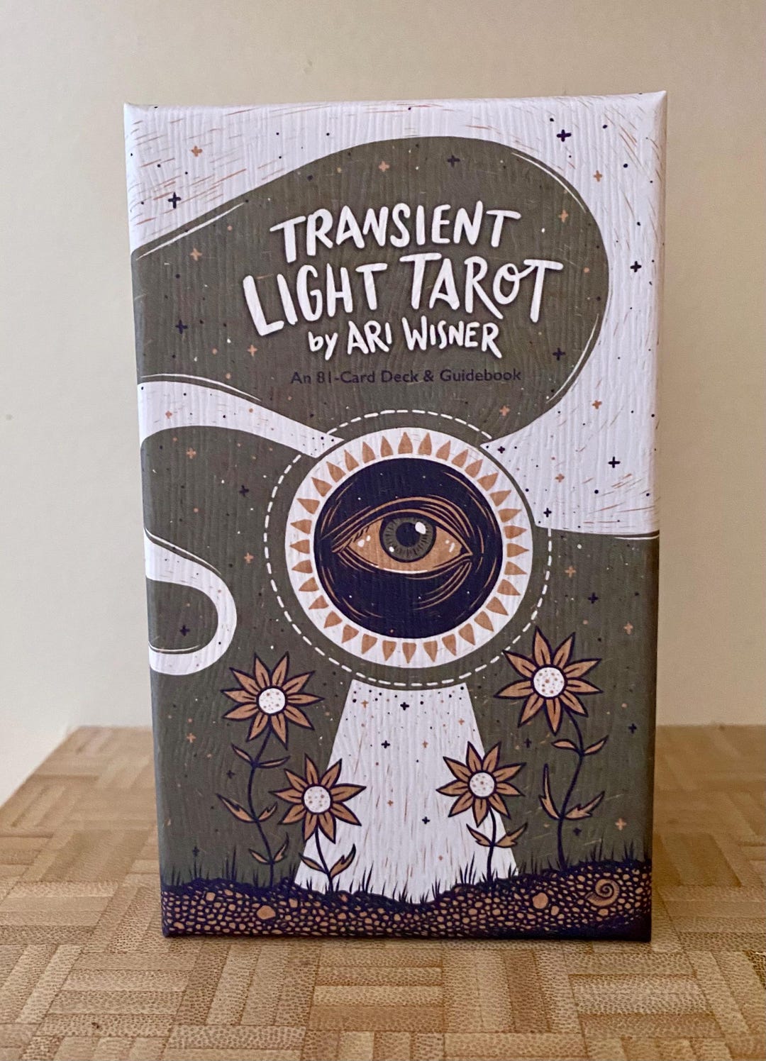 Transient Light Tarot by Ari Wisner Hay House Tarot Deck and Guidebook ...