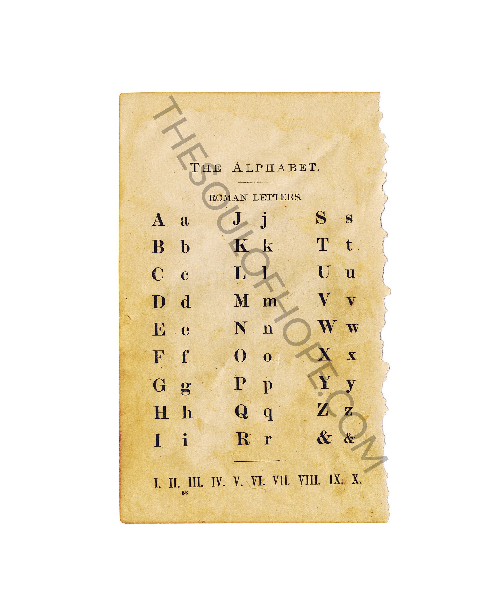 Antique Alphabet Alpha Letters Primer Page Digital Image - Etsy