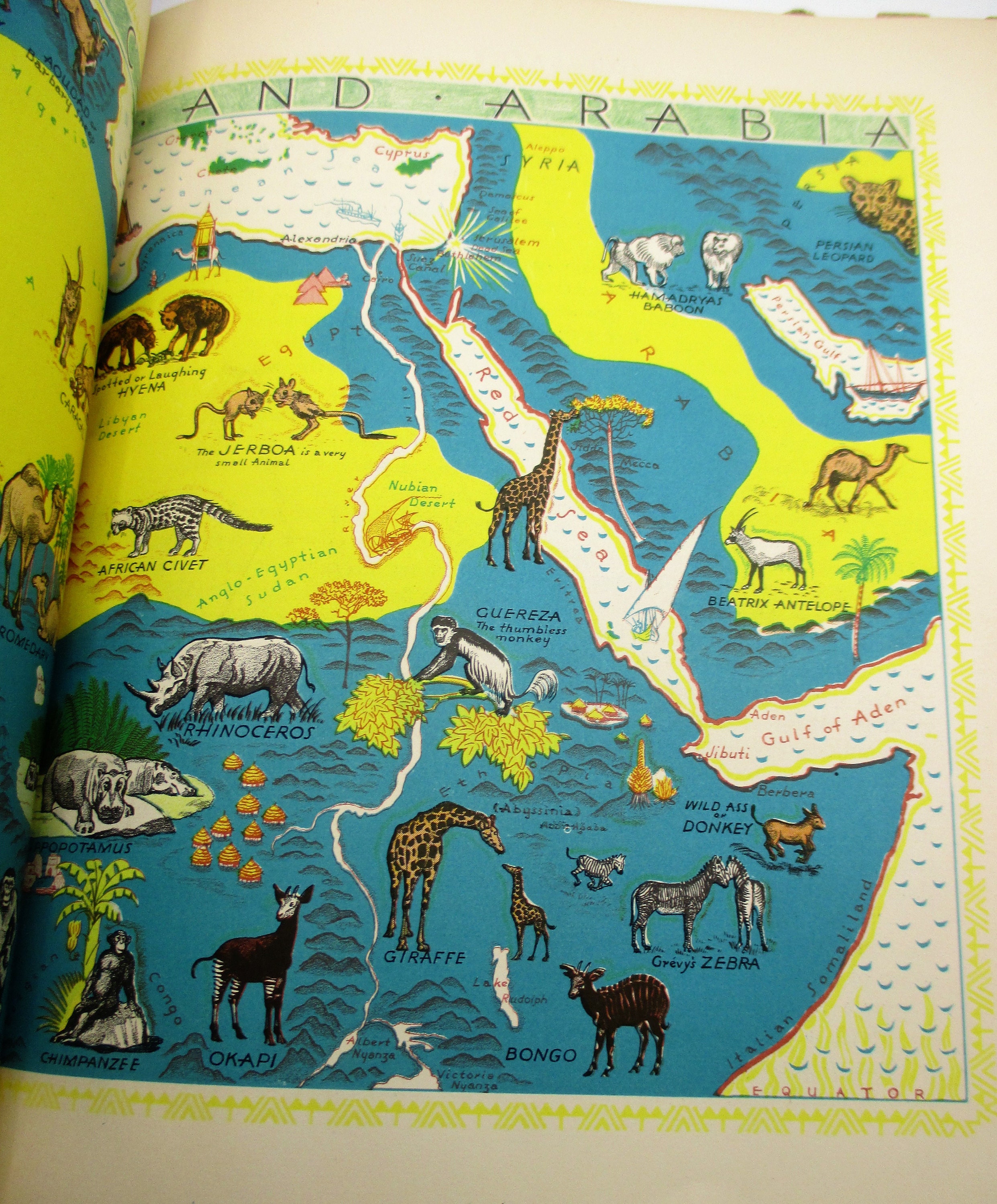 The Book of Zoography by Raymond Ditmars 1934 Hard Cover Illustrated by ...