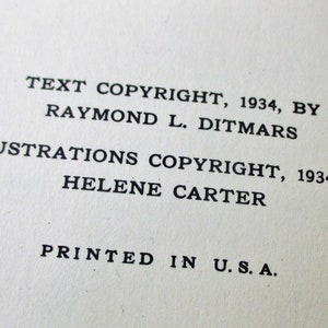 The Book of Zoography by Raymond Ditmars 1934 Hard Cover Illustrated by ...