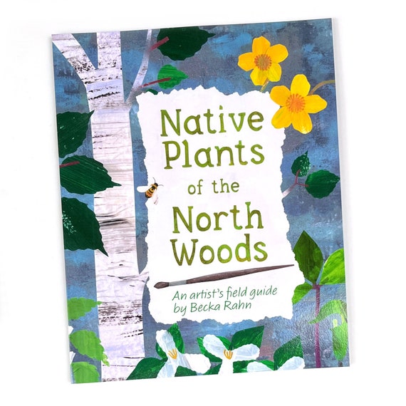 Native Plants Book Kids Nature Book Artist Story Book | Etsy