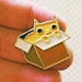 Box Cat Pin — Kawaii Enamel Cat Pin — Funny Enamel Pins — Cat Lover ...