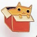 Box Cat Pin — Kawaii Enamel Cat Pin — Funny Enamel Pins — Cat Lover ...