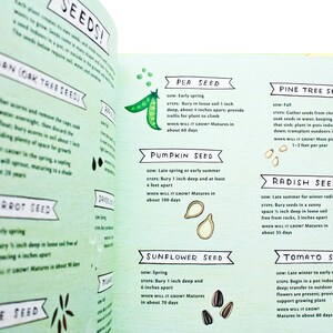 Educational Picture Book for Children -- PERSONALIZED Children's Book ...