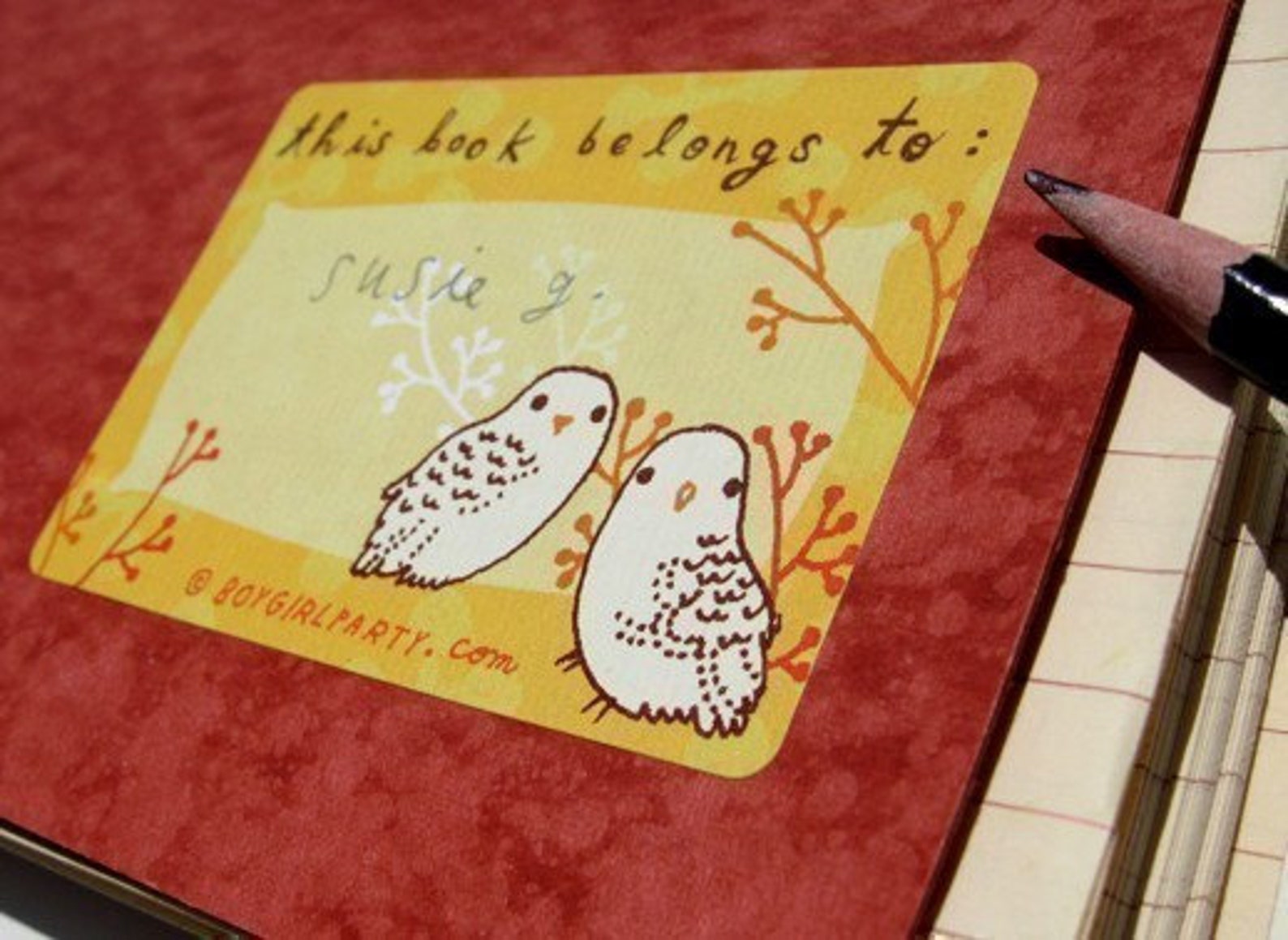 Bookplate Stickers ex Libris owl Book Labels for Teachers | Etsy