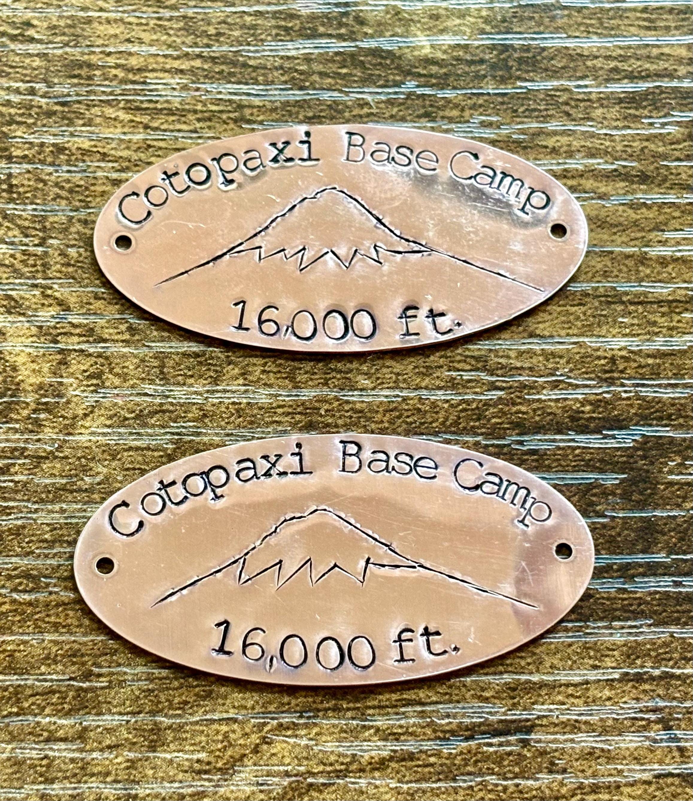Custom Walking/ Hiking Stick Medallion/ Personalized Hand Stamped ...