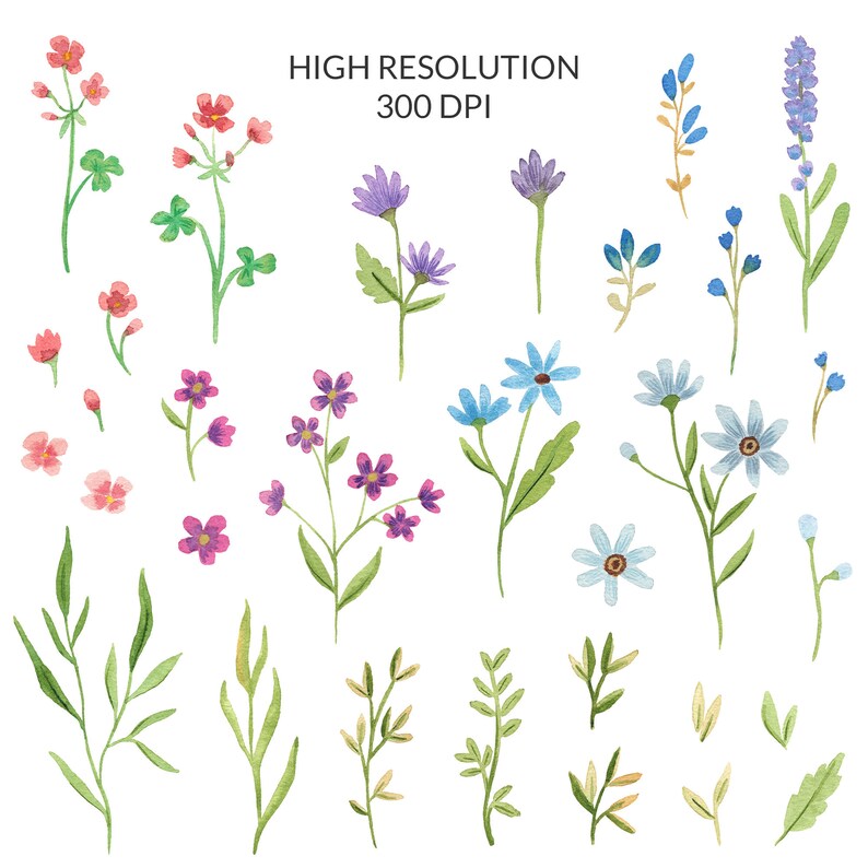 Watercolor Wildflower Clipart Png, Floral Elements Png Bright and ...