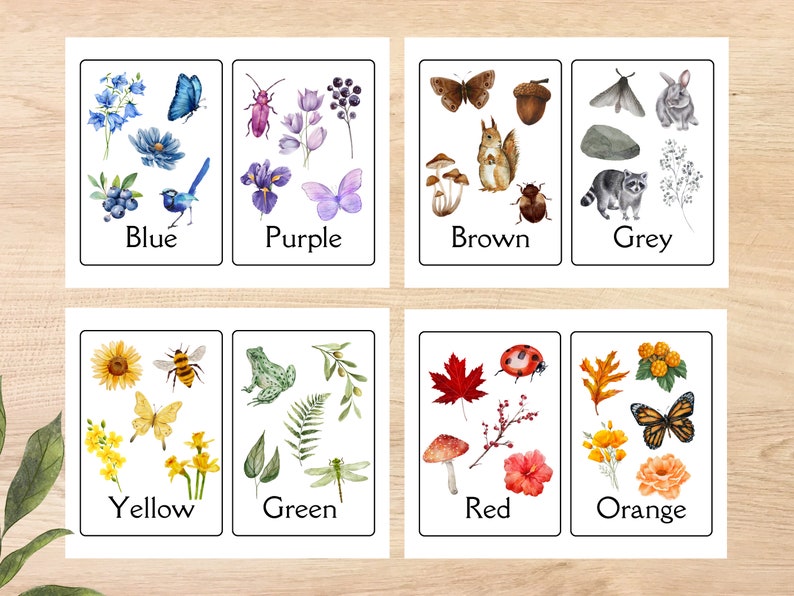 Nature Color Flash Cards, Montessori Homeschool Printable (digital ...