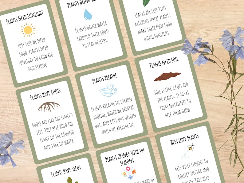 Plant Unit Study, Toddlers and Preschool Science, Learn About Plants ...