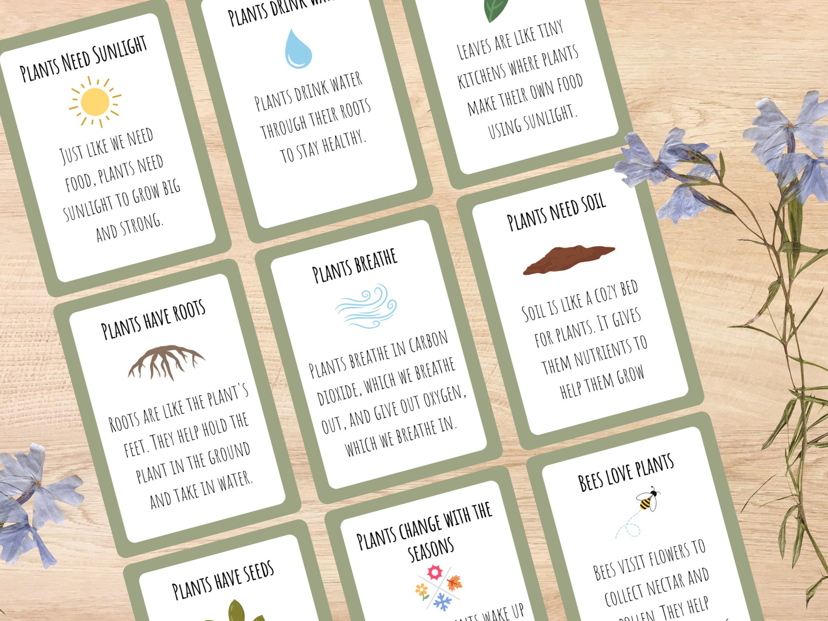 Plant Unit Study, Toddlers and Preschool Science, Learn About Plants ...