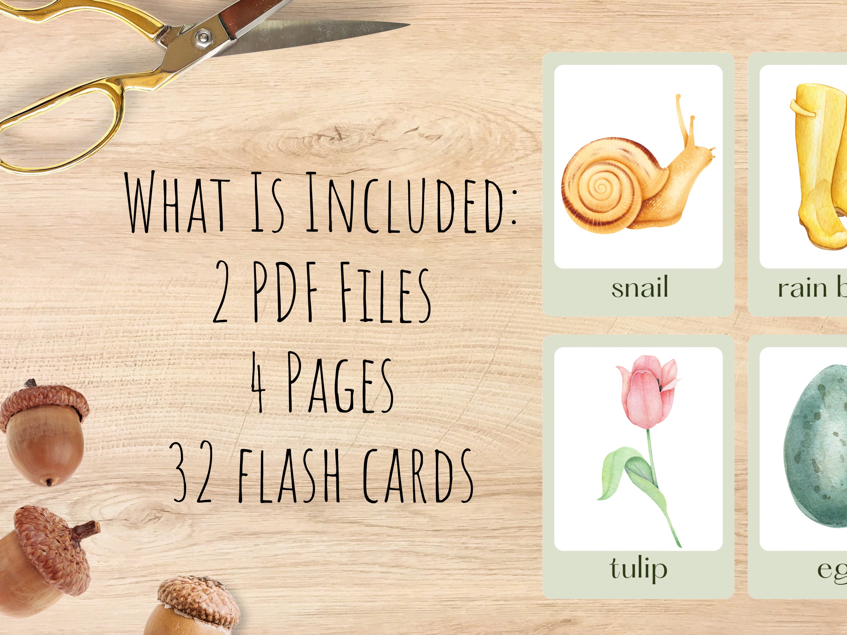 Spring Themed Flash Cards, Seasonal Vocabulary, Homeschool Printable's ...