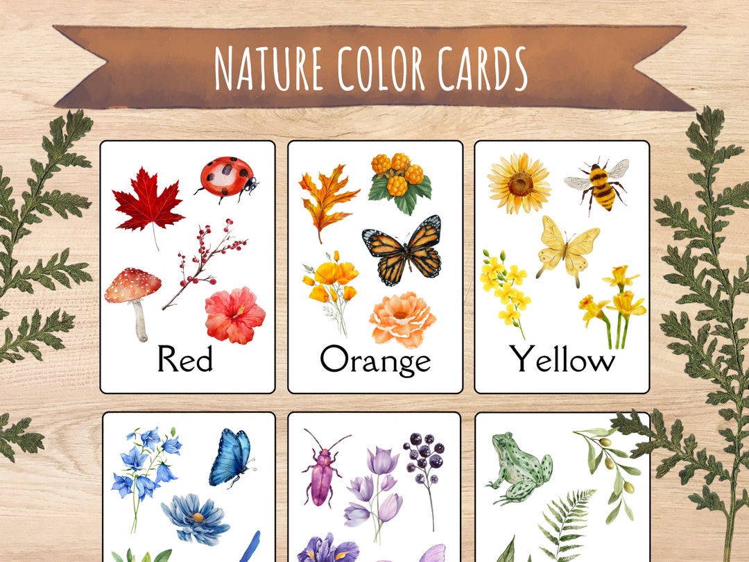 Nature Themed Color Flash Cards, Learn Colors, Montessori Flash Cards ...