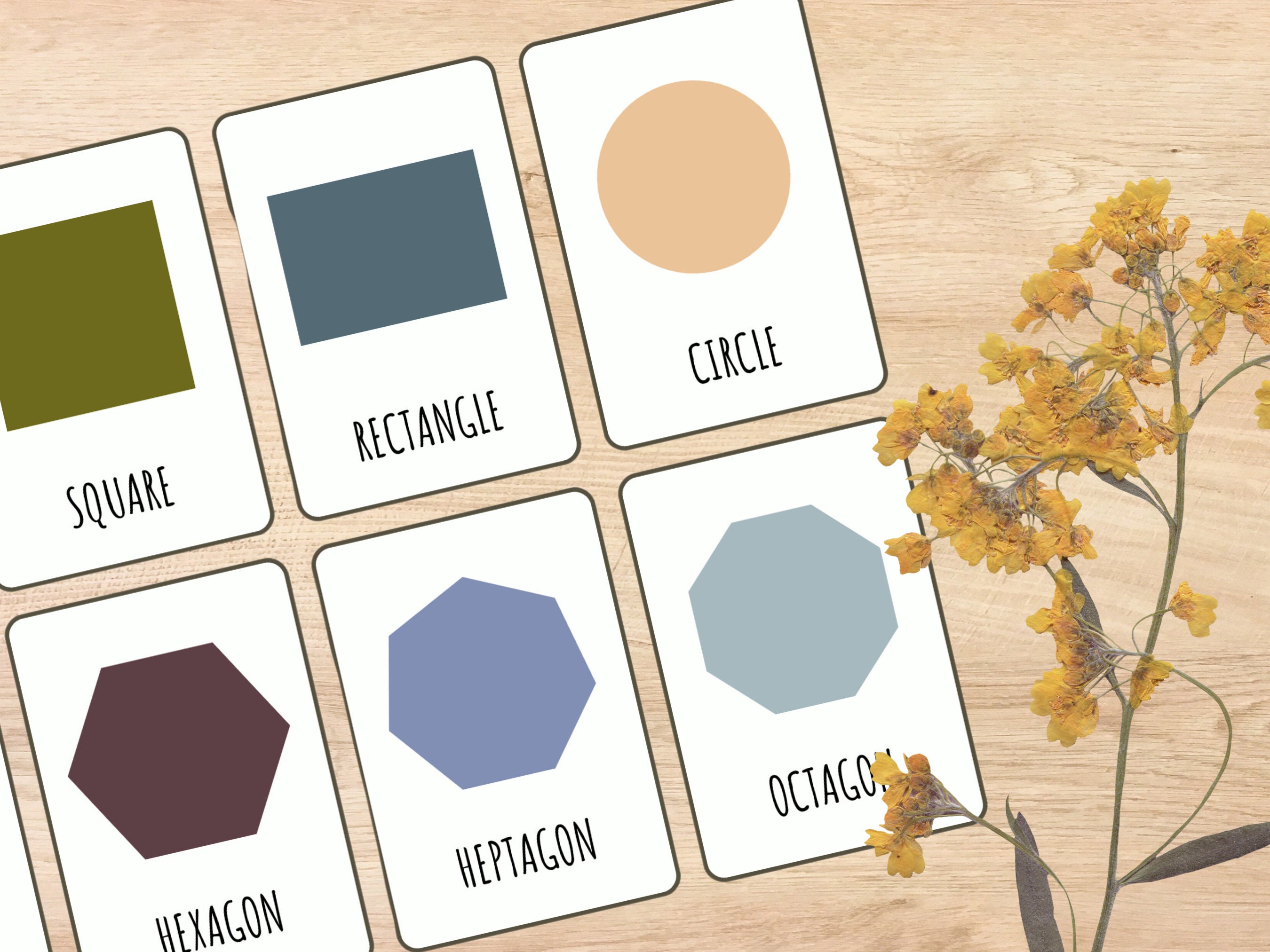 Shape Flashcards, Geometric Shapes, Preschool Printables, Homeschool ...