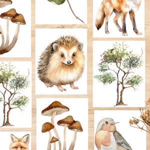 Forest Theme Matching Cards, Montessori Materials Printable, Natural ...