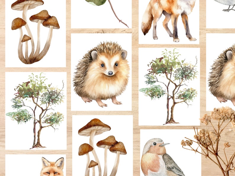 Forest Theme Matching Cards, Montessori Materials Printable, Natural ...