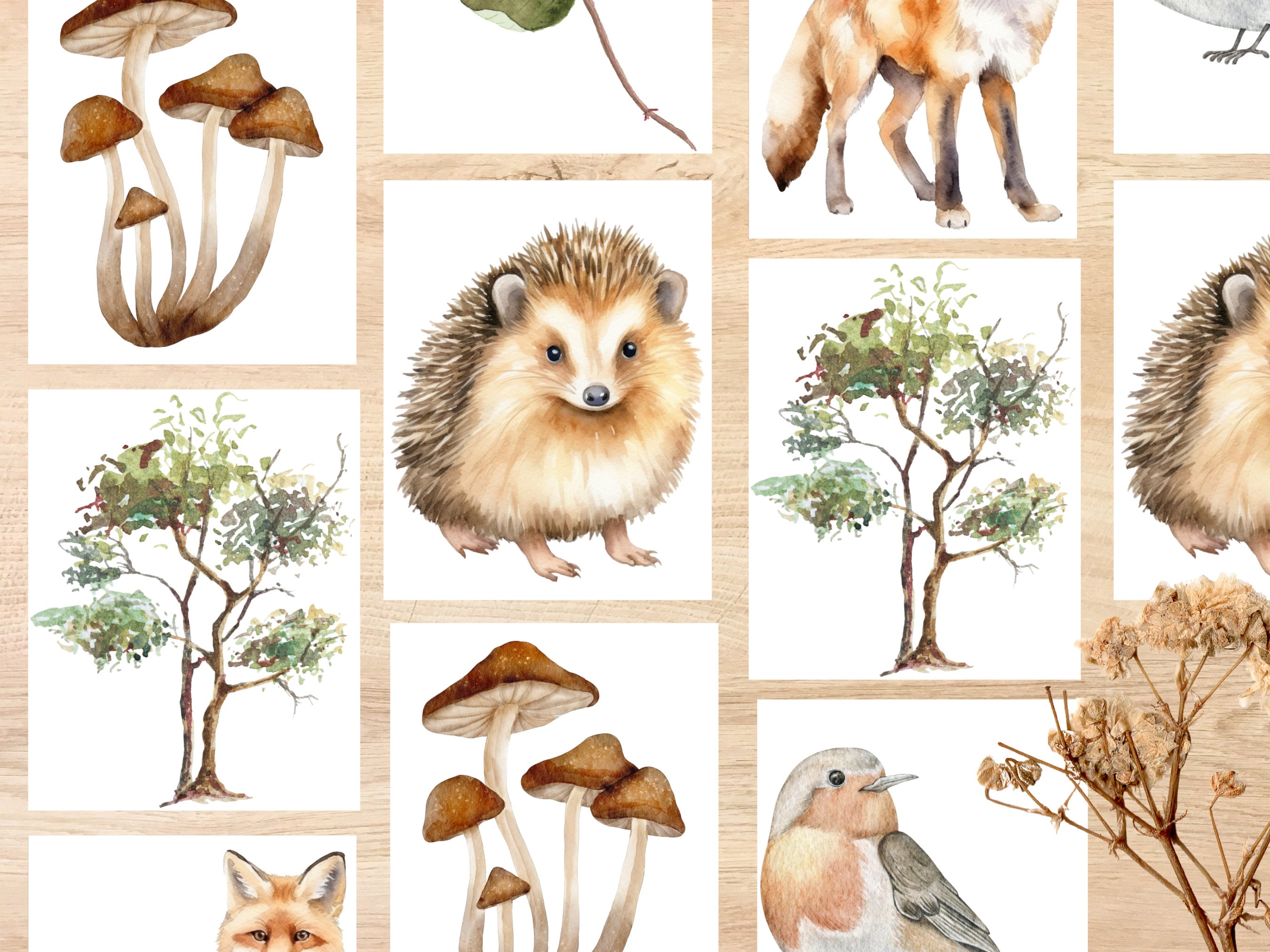 Forest Theme Matching Cards, Montessori Materials Printable, Natural ...