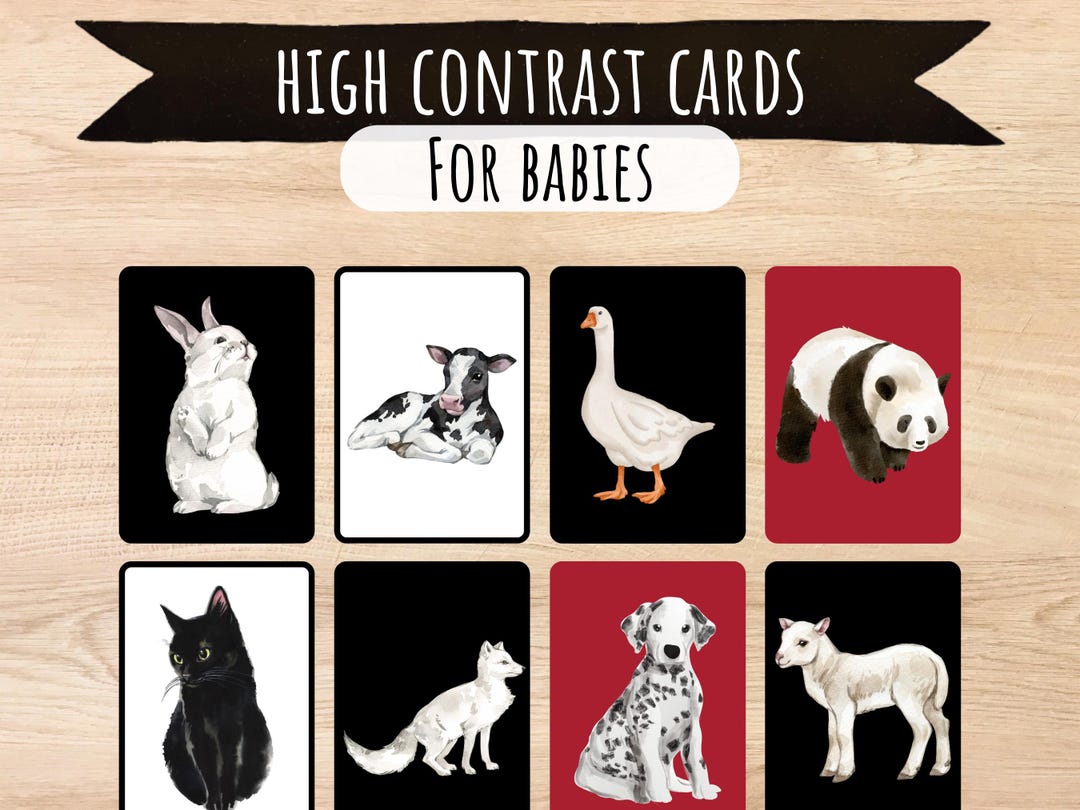 High Contrast Animal Flash Cards, Tummy Time Activity (digital Download ...