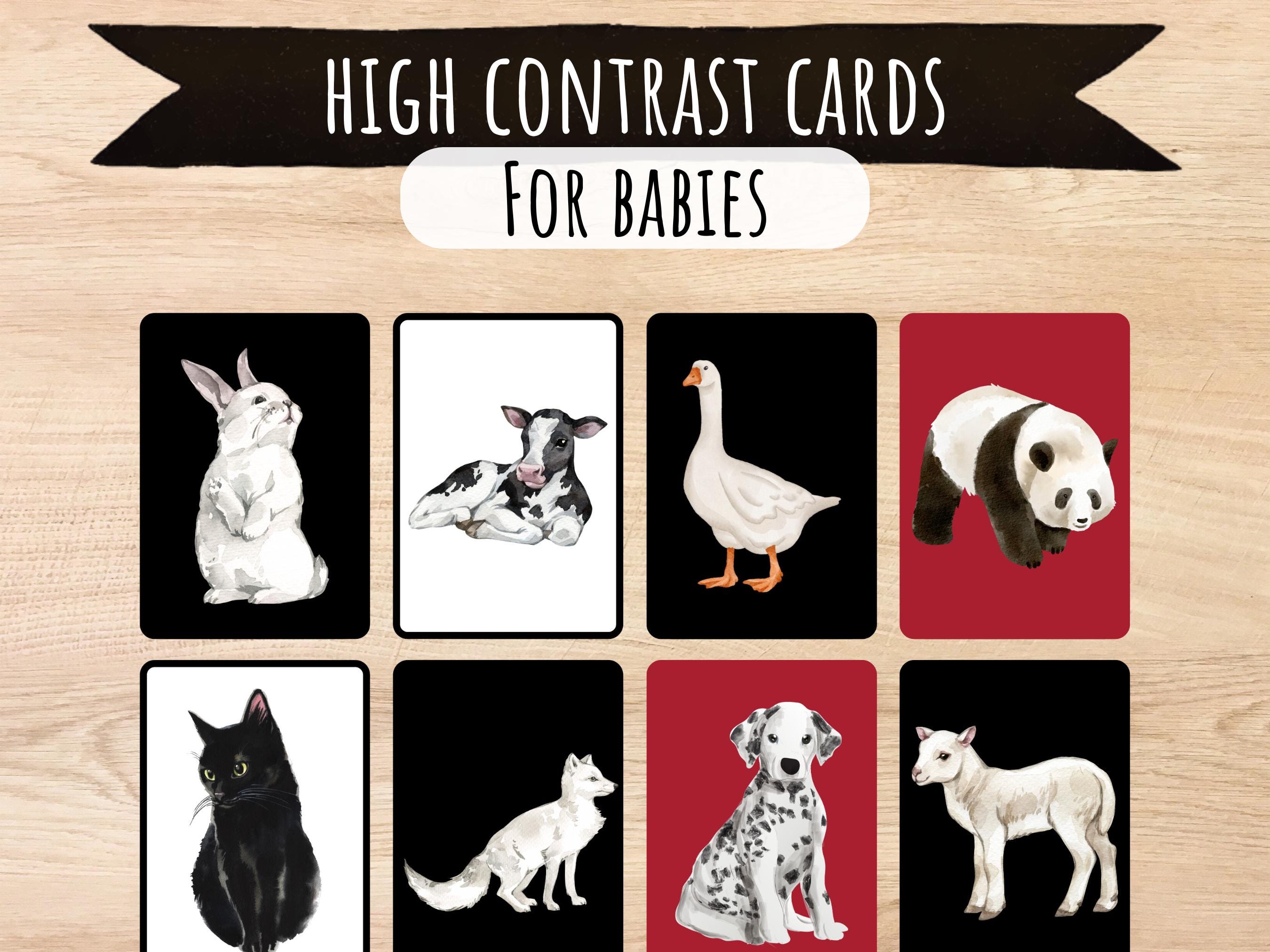 High Contrast Animal Flash Cards, Baby Development Cards, Tummy Time ...