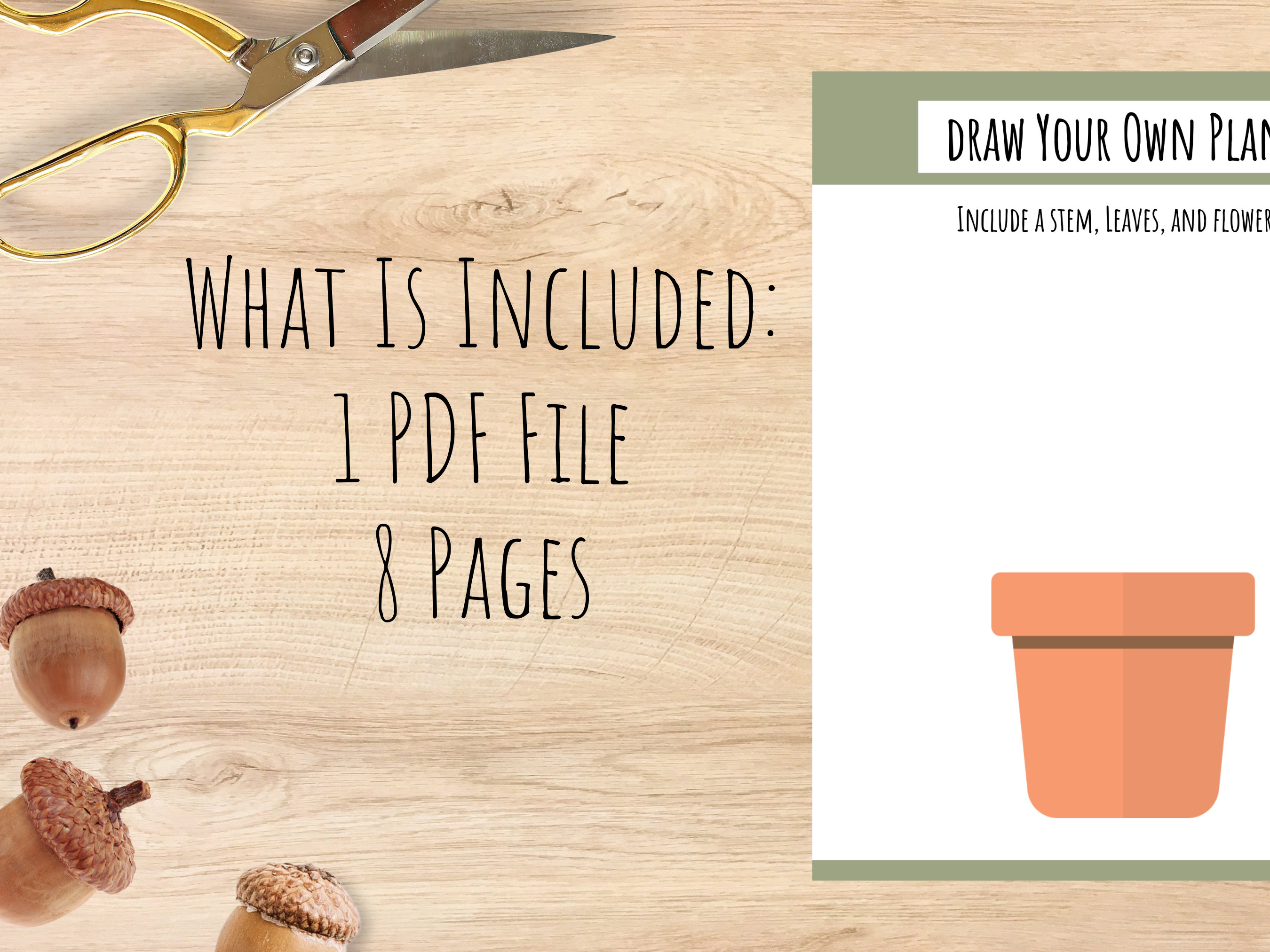 Plant Unit Study, Toddlers and Preschool Science, Learn About Plants ...