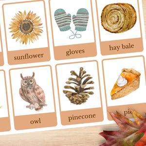 Autumn Vocabulary Cards, Fall Words, Seasonal Activity, Printable ...