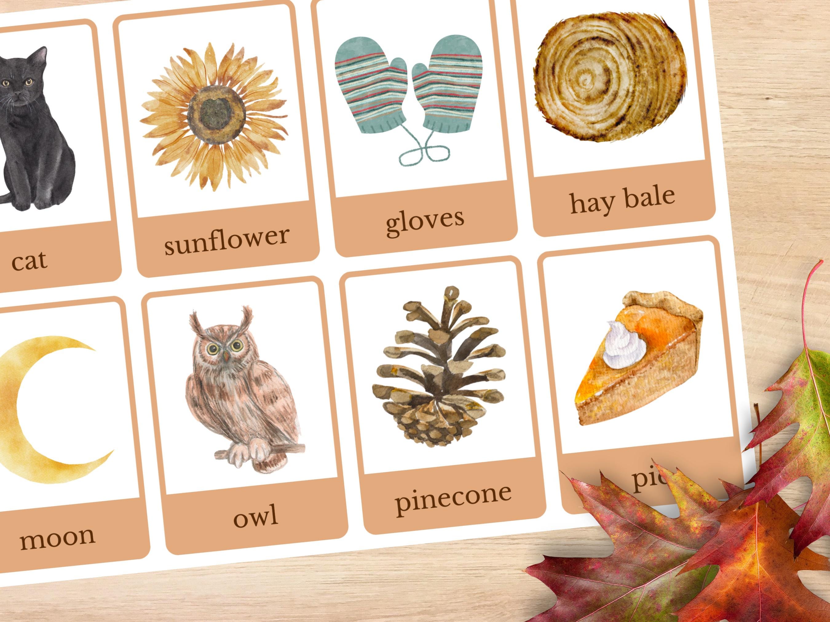 Autumn Vocabulary Cards, Fall Words, Seasonal Activity, Printable ...