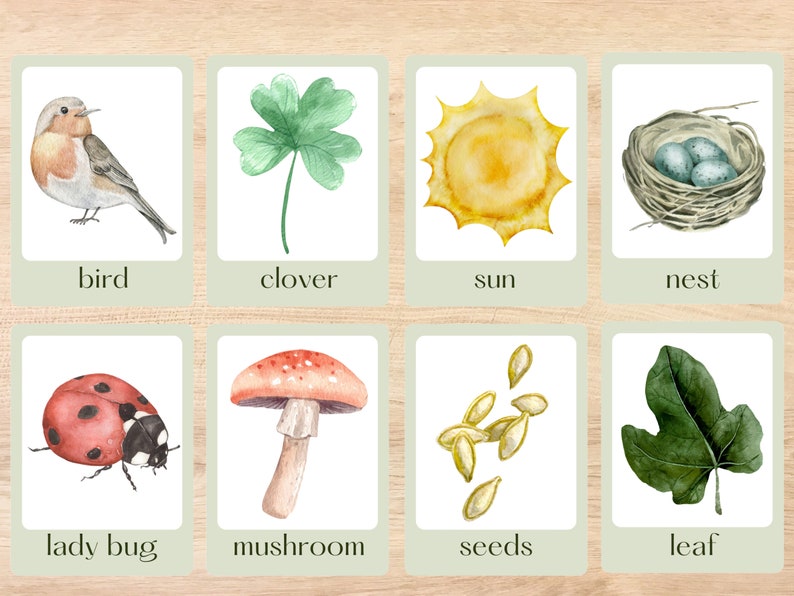 Spring Themed Flash Cards, Seasonal Vocabulary, Homeschool Printable's ...