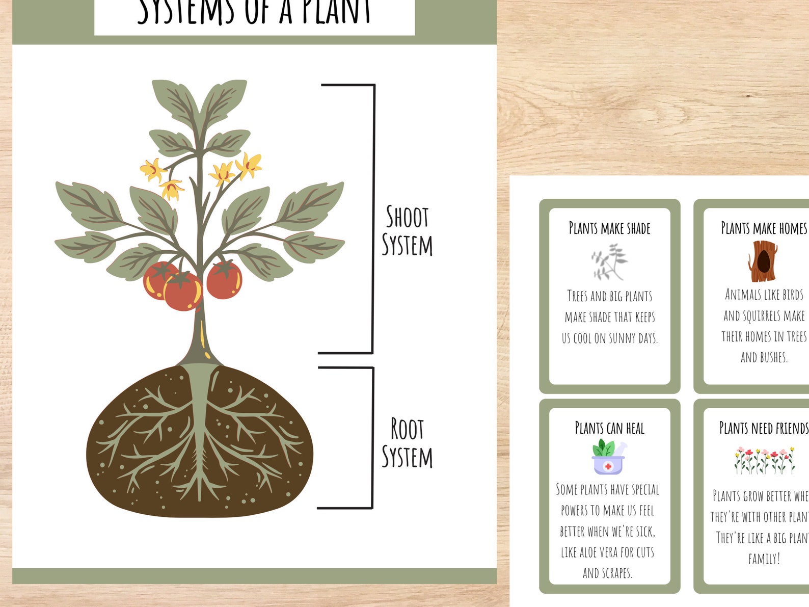 Plant Unit Study, Toddlers and Preschool Science, Learn About Plants ...