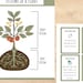 Plant Unit Study, Toddlers and Preschool Science, Learn About Plants ...