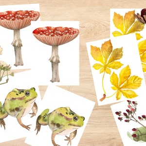 Forest Theme Matching Cards, Montessori Materials Printable, Natural ...