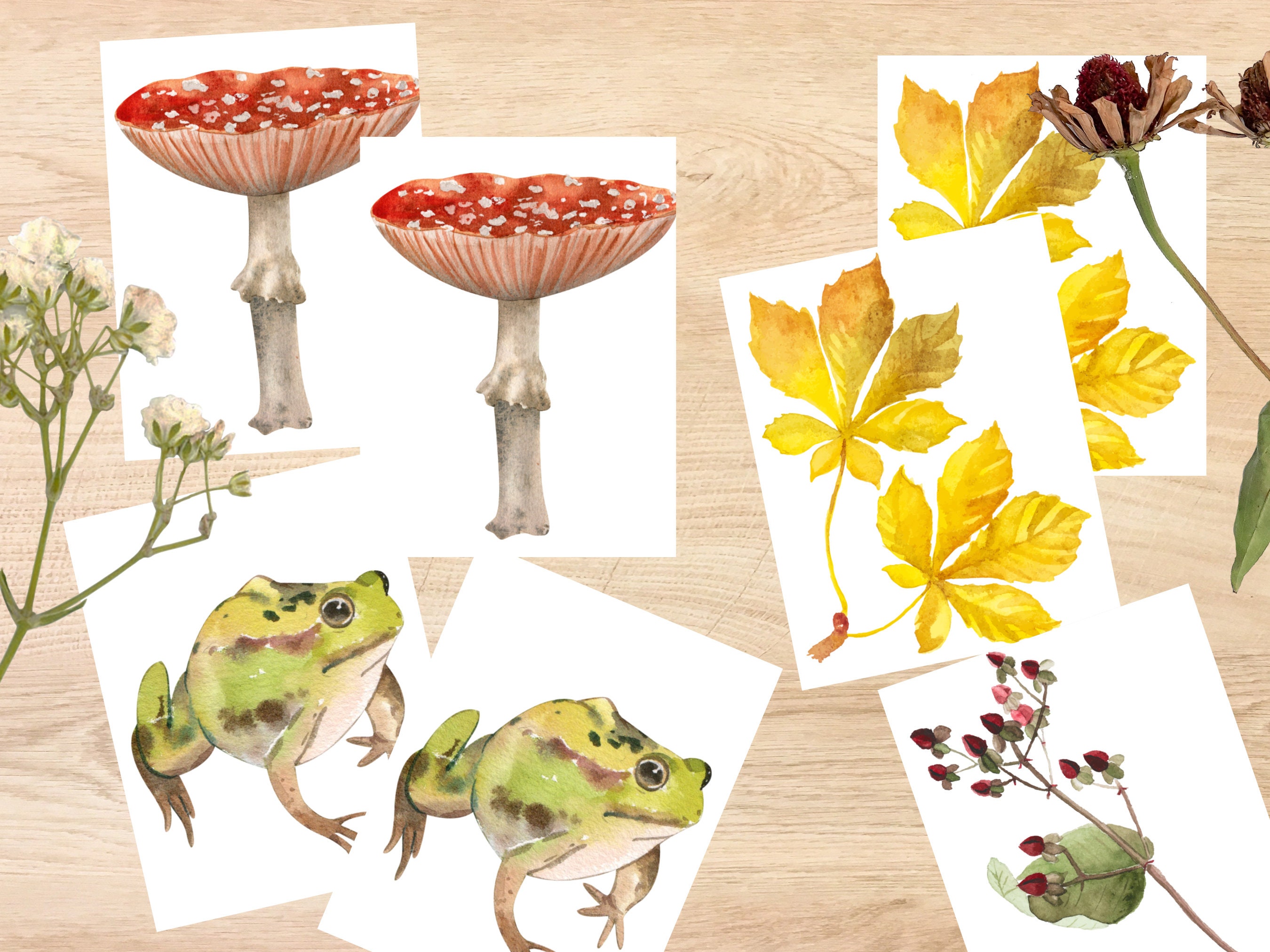 Forest Theme Matching Cards, Montessori Materials Printable, Natural ...