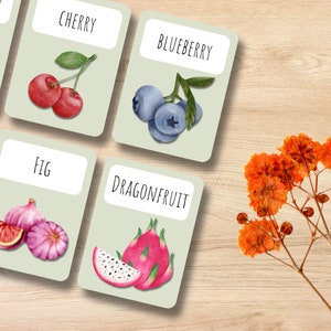 Fruit Identification Flash Cards, Montessori Cards, Nomenclature, Pdf ...
