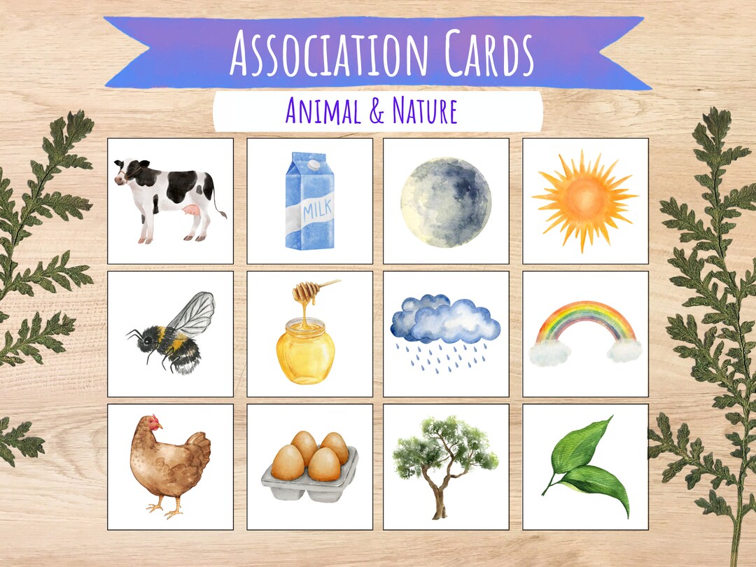 Preschool Matching Activity, What Goes Together, Association Cards ...