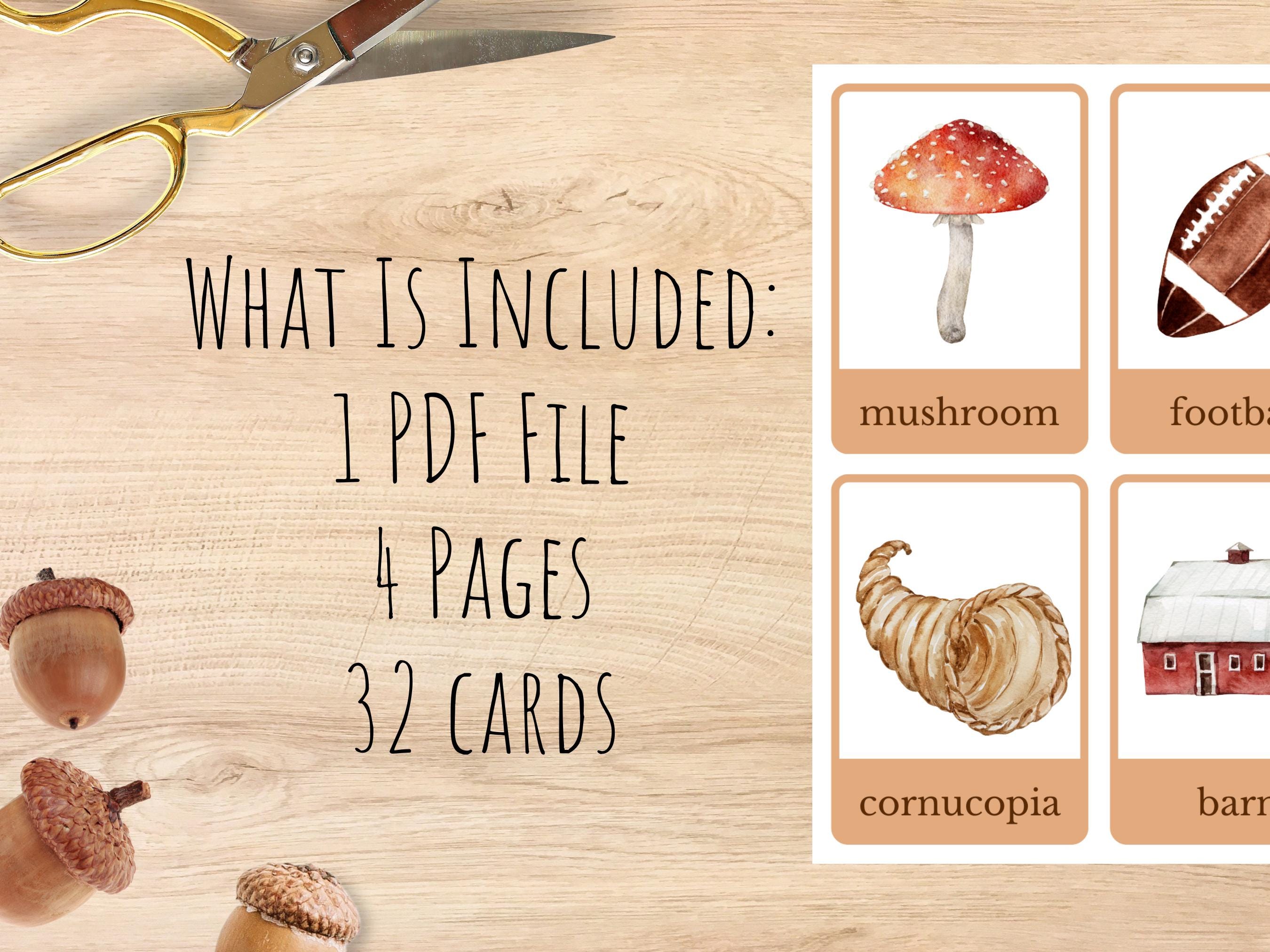 Autumn Vocabulary Cards, Fall Words, Seasonal Activity, Printable ...