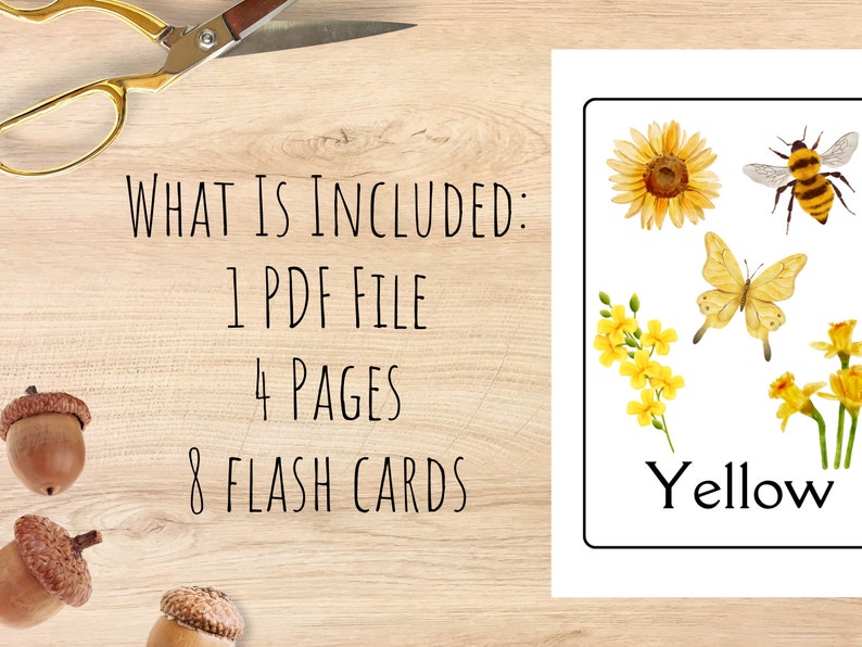 Nature Themed Color Flash Cards, Learn Colors, Montessori Flash Cards ...