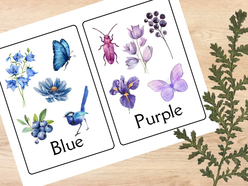 Nature Color Flash Cards, Montessori Homeschool Printable (digital ...