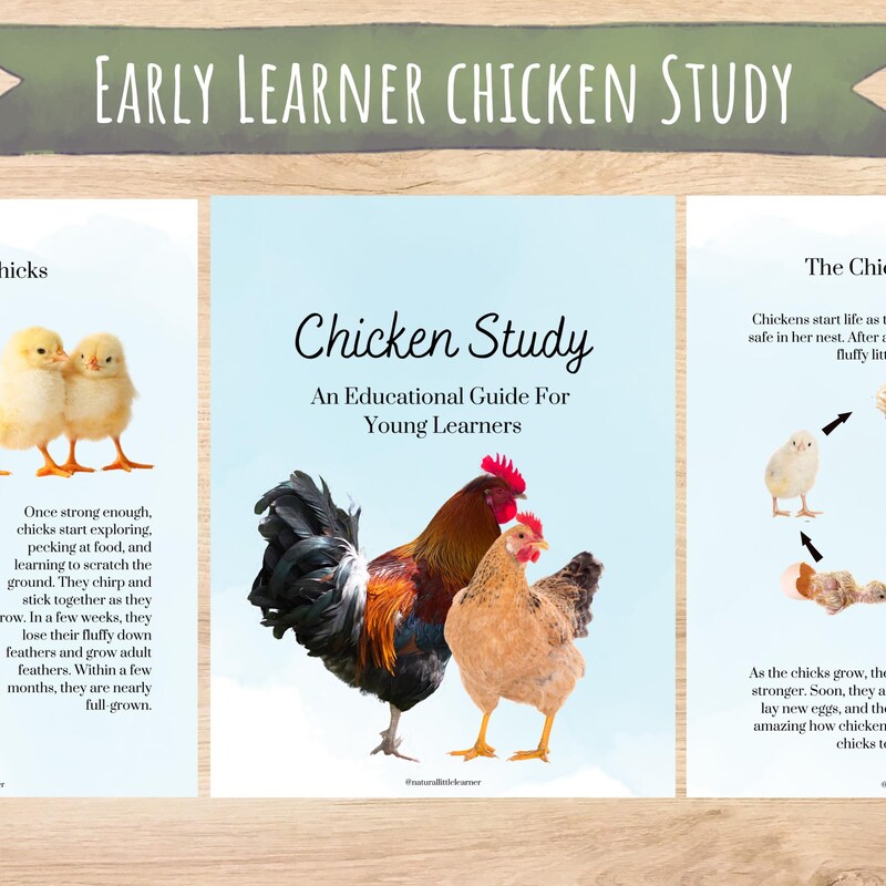 NaturalLittleLearner - Etsy