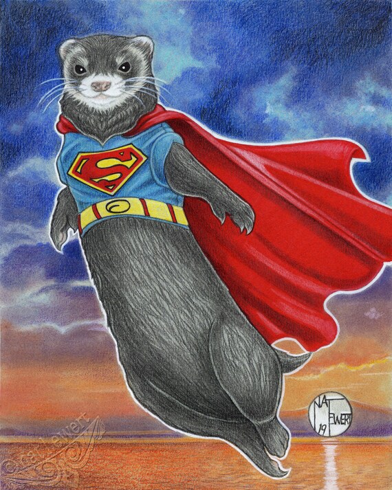 Ferret Super Hero Home Decor Wall Art Print Drawing | Etsy