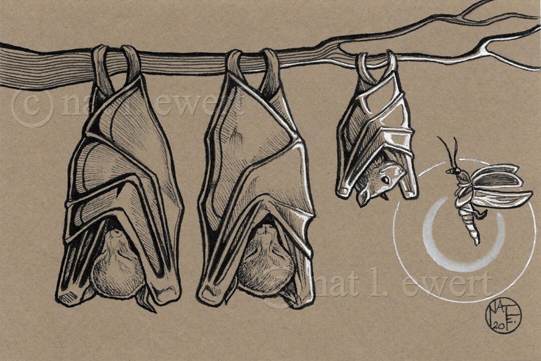 ORIGINAL Baby Bat & Firefly, Gothic, Gifts, Home Decor, Wall Decor, Ink ...