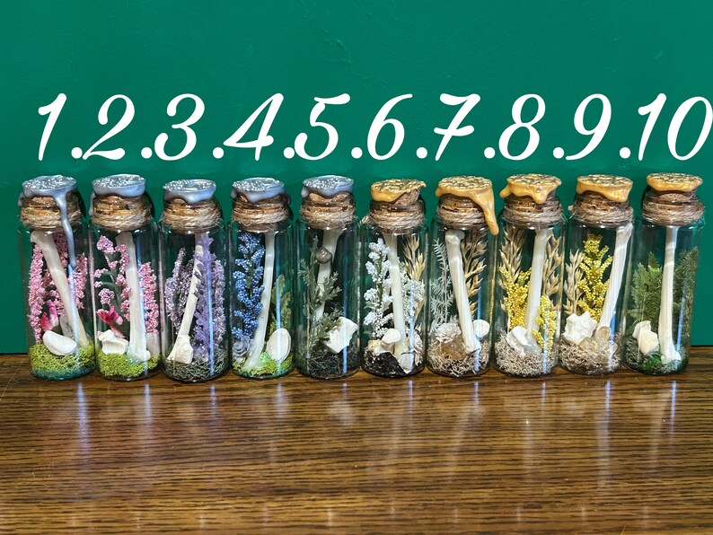 Tall Terrarium Bone Jars. - Etsy
