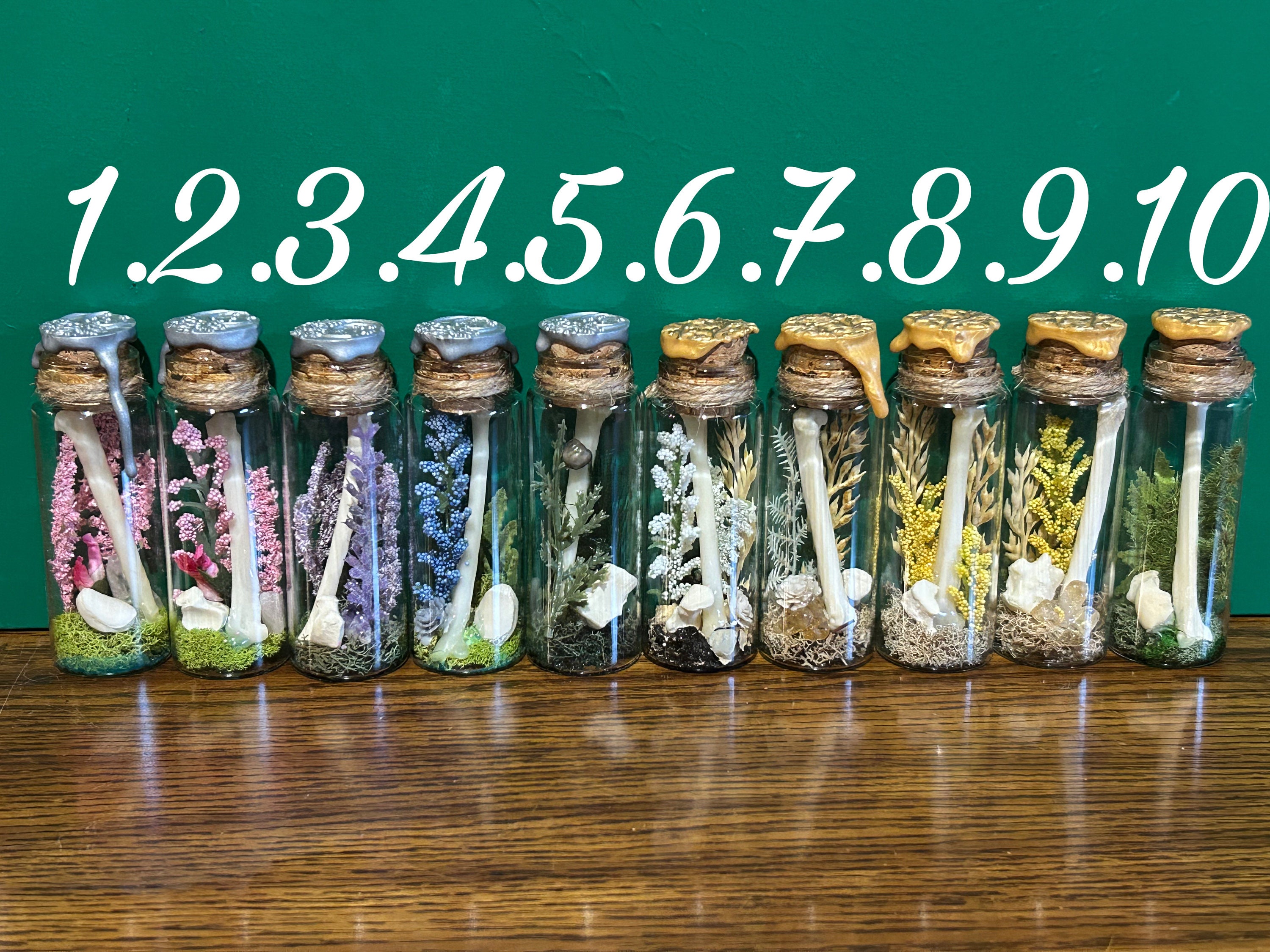 Tall Terrarium Bone Jars. - Etsy