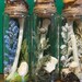 Tall Terrarium Bone Jars. - Etsy