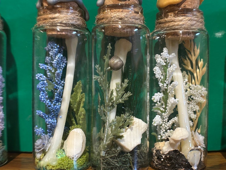 Tall Terrarium Bone Jars. - Etsy