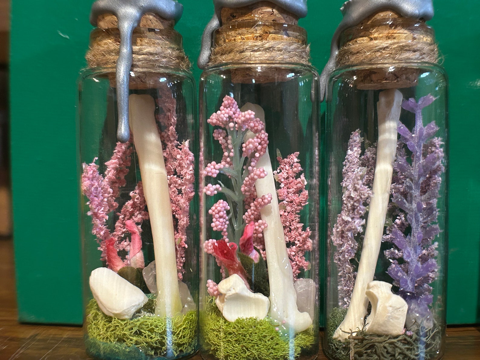Tall Terrarium Bone Jars. - Etsy