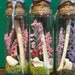 Tall Terrarium Bone Jars. - Etsy