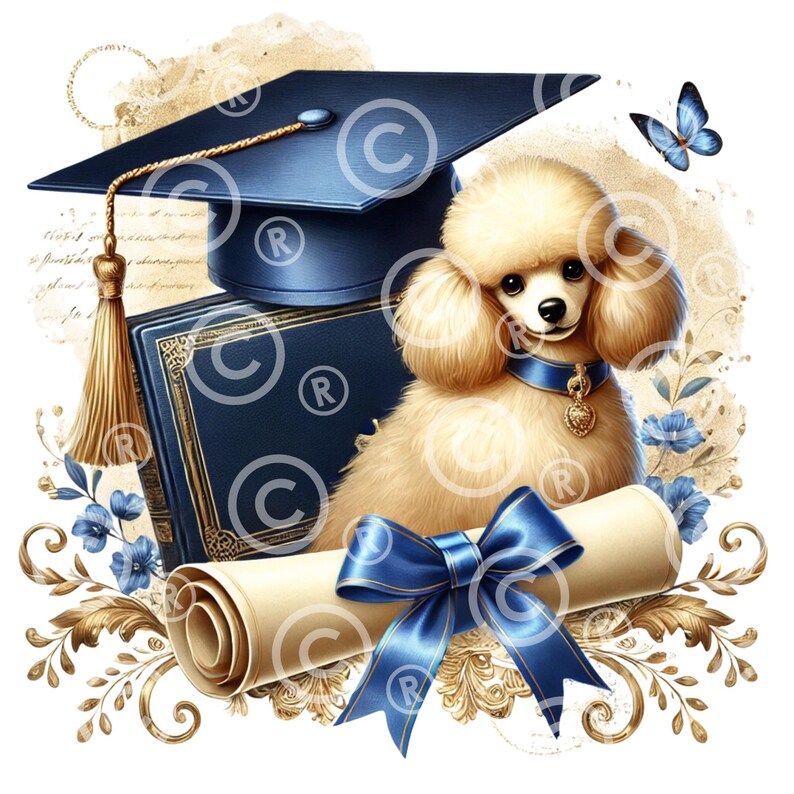 D9 Graduation PNG Bundle: Poodle Designs, Sorority Art (digital ...