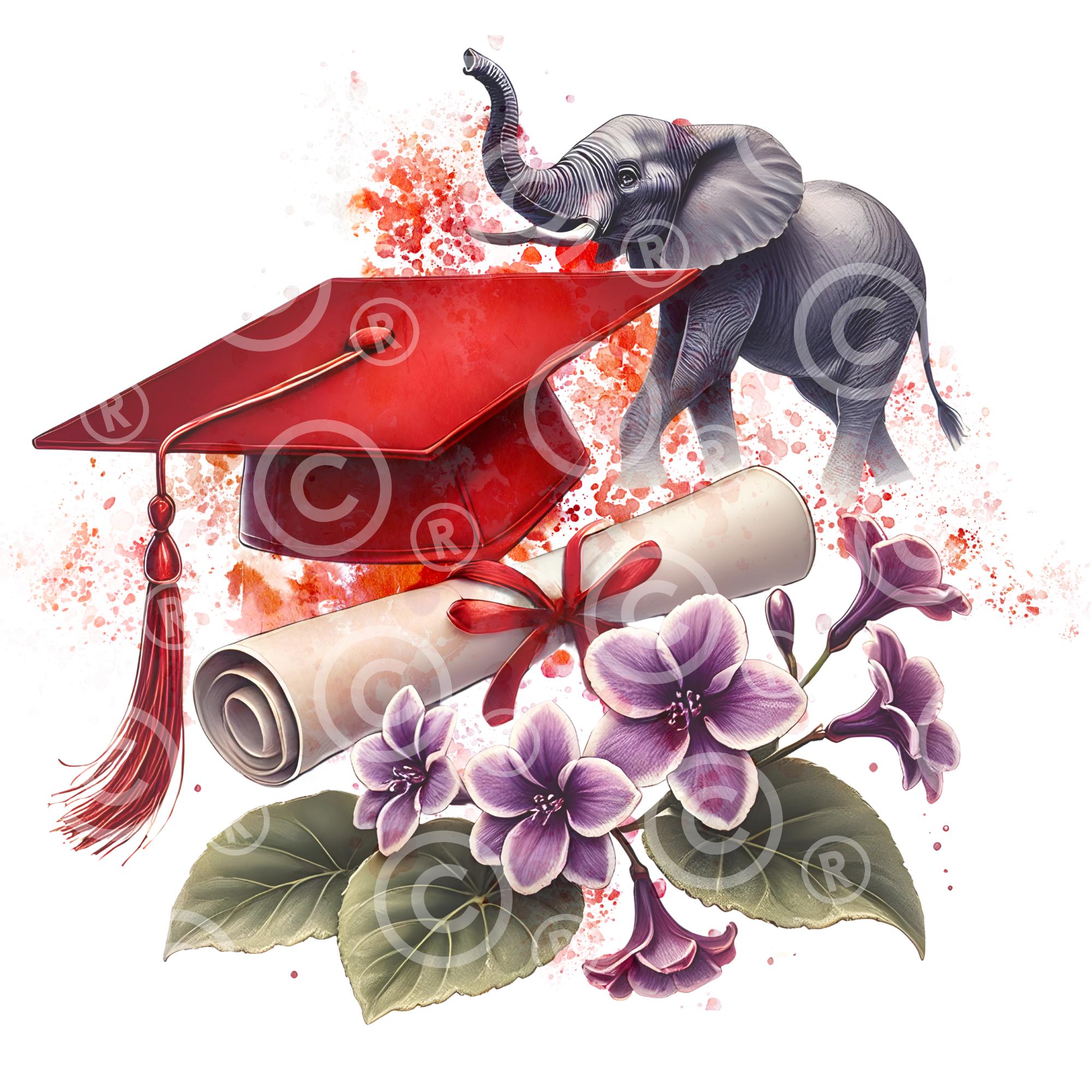 DST Graduation PNG Bundle: Elephant Sorority Designs (digital Download ...