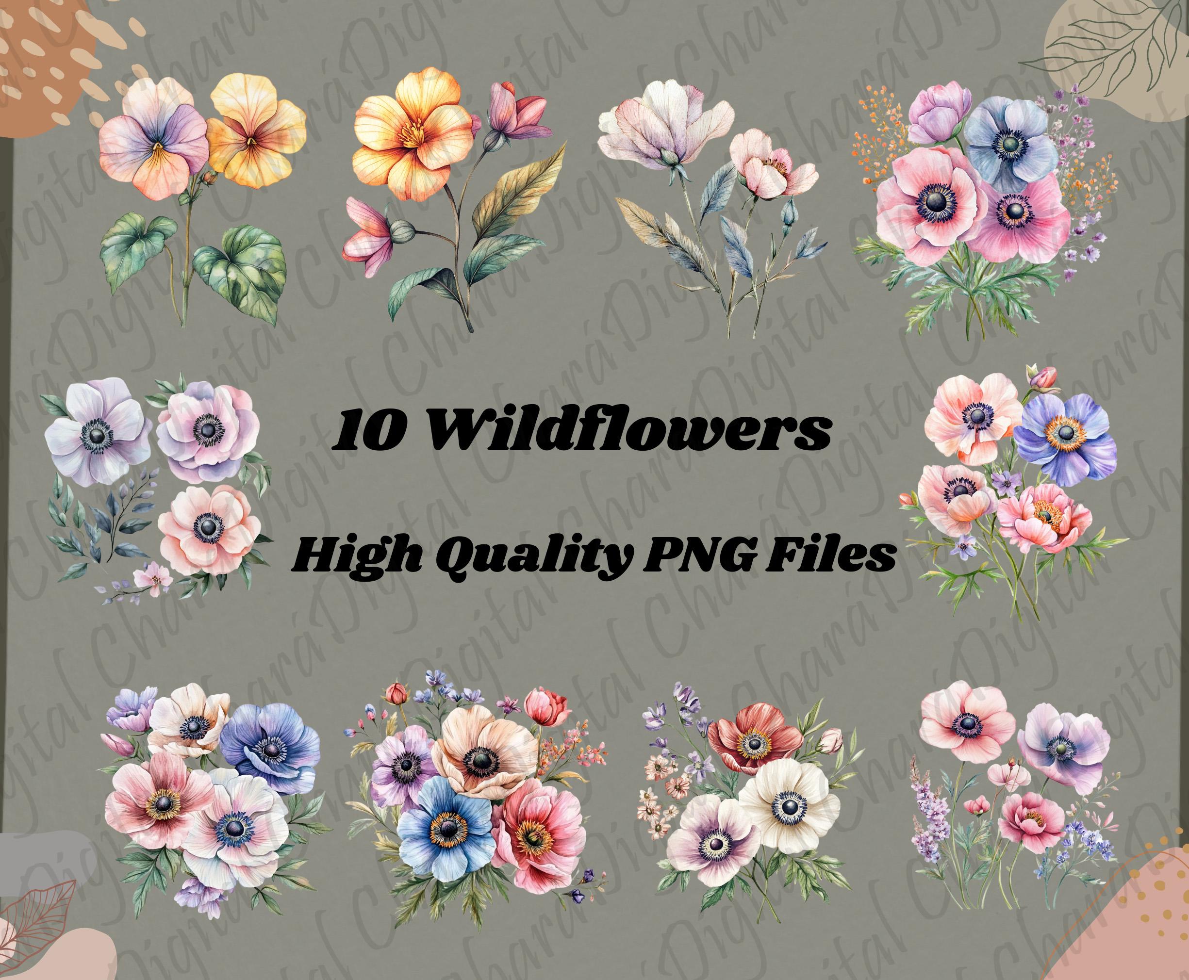 10 Wildflower PNG Clipart, Watercolor Floral Pngs, Digital Flower ...