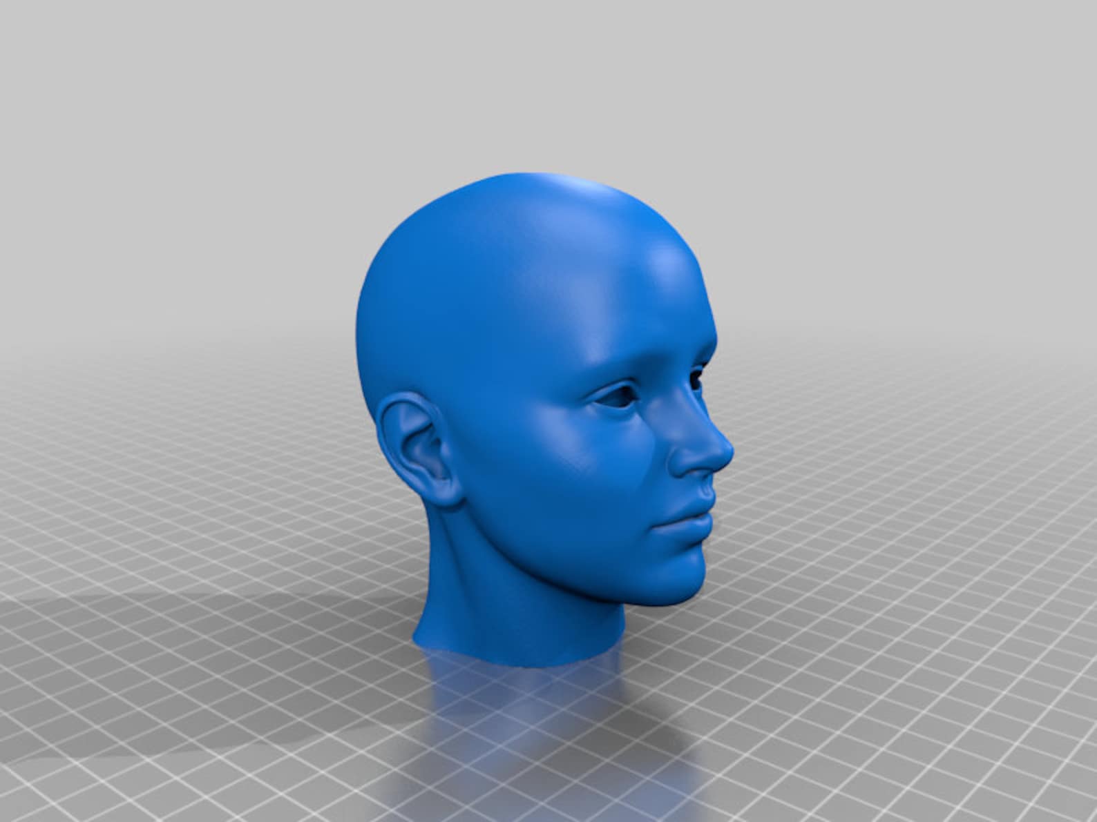 3D Sizing Head STL - Etsy